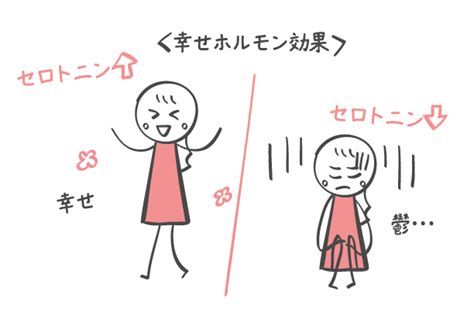 幸せホルモンの男女差！彼女がいる男性はセロトニンが減少する理由 恋愛の科学