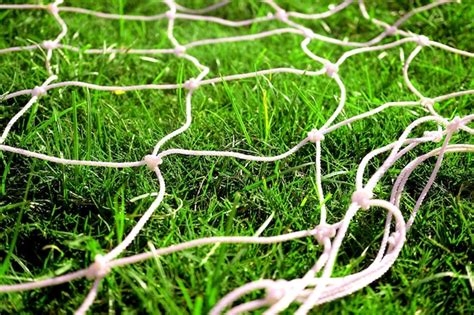 81000 String Grass Pictures
