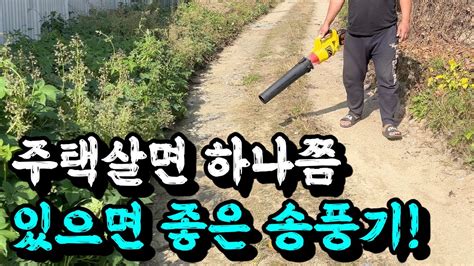 시골집에 살다보면 마당 청소할때 필요한 전동공구 송풍기 효자 무선 송풍기 Youtube