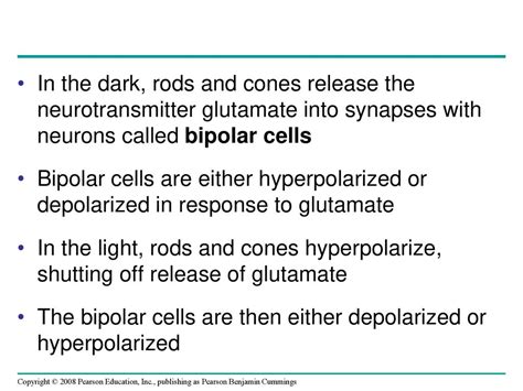 Chapter 50 The Senses Ppt Download