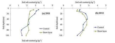 How Can I Draw Vertical Graph For Soil Properties Under Different Depths ResearchGate