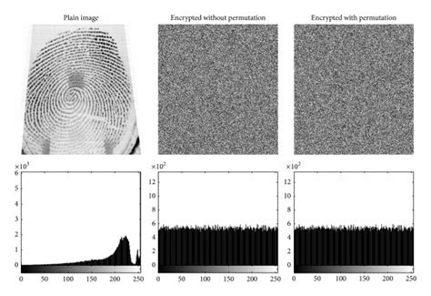 Histogram Analysis Of Encryption Process With And Without Permutation Download Scientific