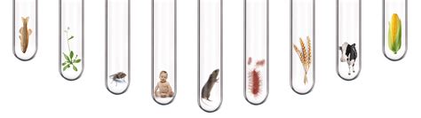 Total Rna Seq Library Prep Kit Zymo Research