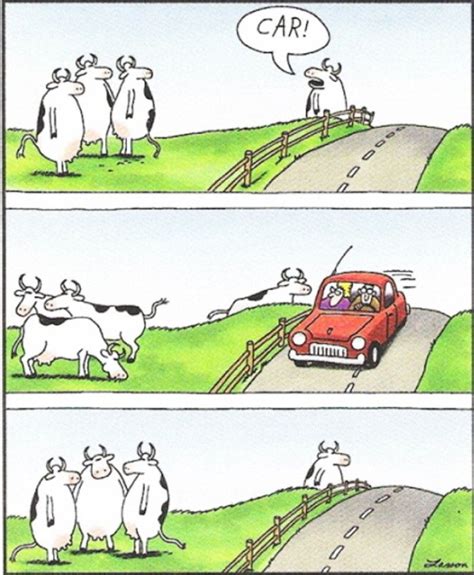 Gary Larson Cow Cartoons Thanksgiving Old Turkeys The Back Pew