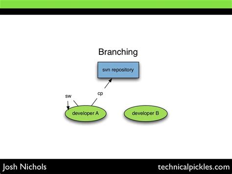 Branching Svn Repository Cp Sw