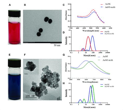 Characterization Of Au Nanoparticles Ae Profile Of Auns And Aunf