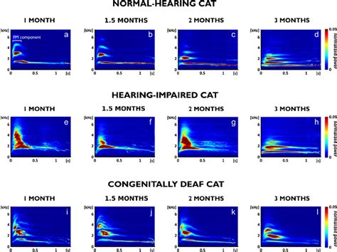 Development Of Mean Spectrogram Representations In The Three Download High Quality
