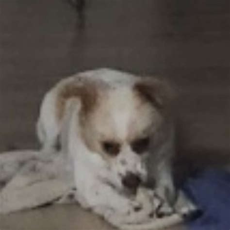 제일 어린 동생인데 무서울때가 있어요ㅎㅎㅎㅎ 포동 커뮤니티