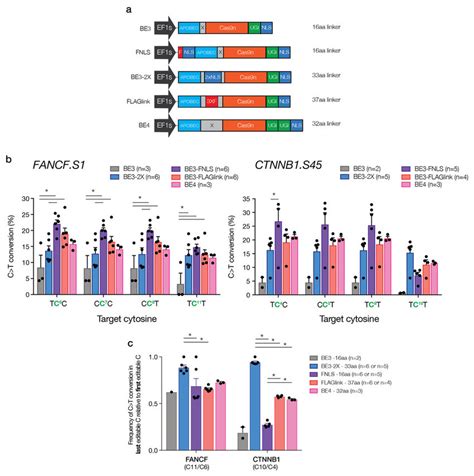 N Terminal Nuclear Localization Signal Nls Sequences Increase The