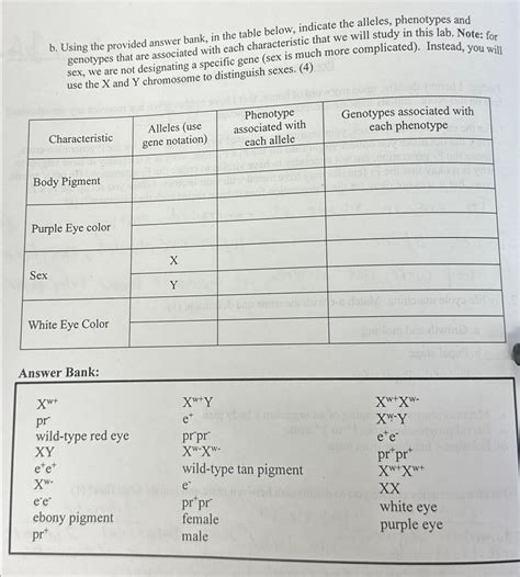 Solved B ﻿using The Provided Answer Bank In The Table