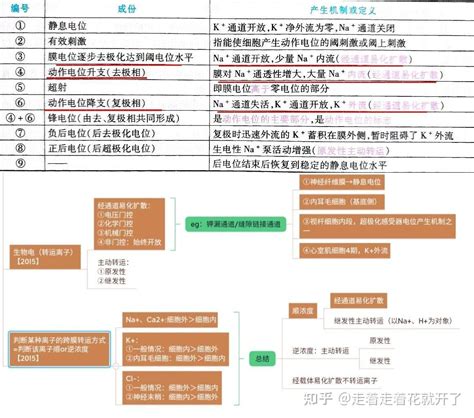 考研生理学知识点（三） 知乎