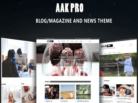 Wp Theme Space For Quality Wordpress Themes
