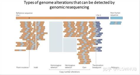 全基因组测序分析 知乎
