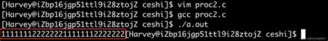 【linux进程篇】进程概念（1） csdn博客