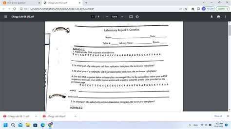 [solved] activity 1 1 1 replicate the dna sequence shown