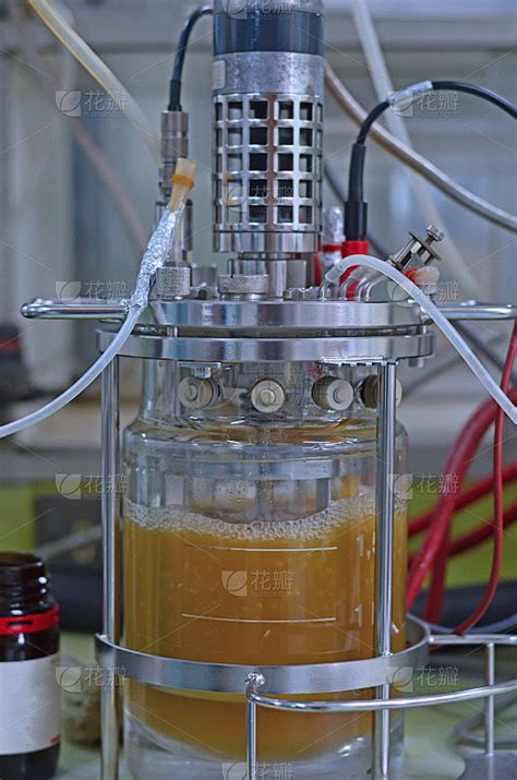 在实验室发酵罐或发酵罐中生产乙醇