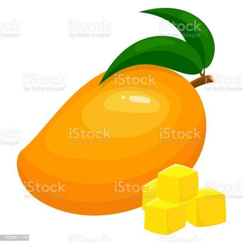 흰색 배경에 고립 신선한 밝은 이국적인 전체 와 슬라이스 망고 건강한 라이프 스타일을위한 여름 과일 유기농 과일 만화 스타일입니다 모든 디자인에 대한 벡터 그림입니다 감귤류