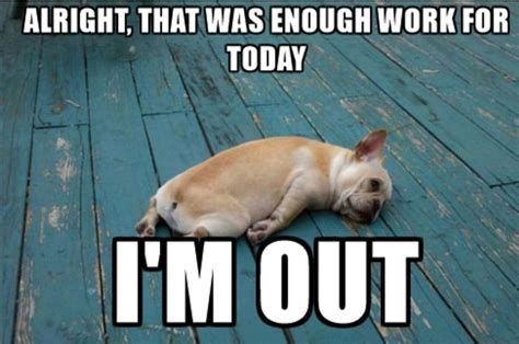 Pin By Lorri Johnson On Work Funny Pictures Sleep Meme Funny French