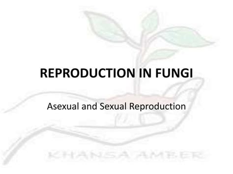 Sexual Reproduction In Fungi Pptx