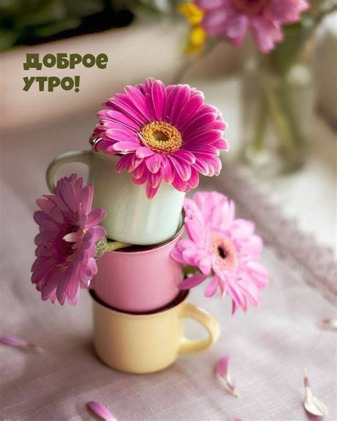 Картинки с надписью Доброе Утро