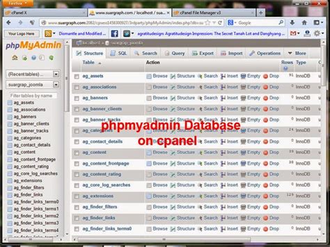 Launching Joomla Site From Localhost To The Hosting Place Agratitudesign Impression