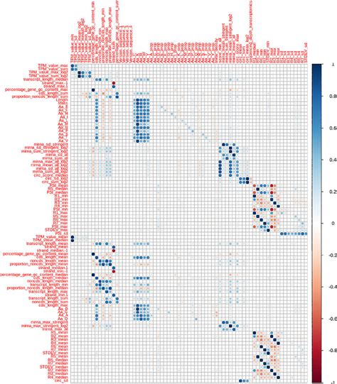 Correlation Plot Between Kept Features Horizontal Axis And Filtered