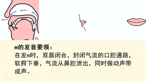 普通话练习19 声母m的发音练习 哔哩哔哩 Bilibili