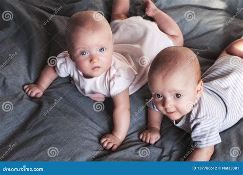Two Adorable Babes A Babe And A Girl Are Playing On The Bed On A Gray Background Brother And