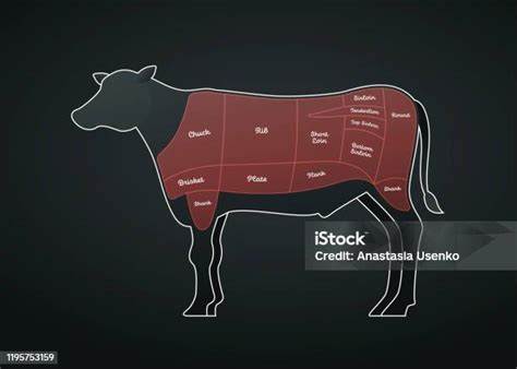 벡터 쇠고기 스테이크 다이어그램 포스터입니다 미국 고기 절단 화이트 모던 스타일 암소 실루엣마크업 빨간색 영역 강조 표시 및 텍스트입니다 카페 메뉴 장식 정육점 다이어그램