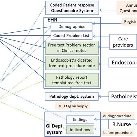 Overview Of Clinical Information Flow And Architecture Of The Cdss