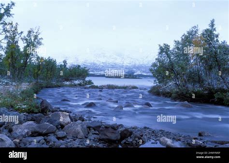 Creek Brook In The Mountain During First Snow In 2004 Analog Water