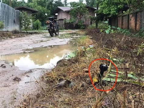 ဝိုင်းမော် ခလရ ၅၈ တပ်ရင်း ပစ်ခတ်သည့် လက်နက်ကျည်အချို့ ကျေးရွာအတွင်း ကျရောက်ပေါက်ကွဲ နိုင