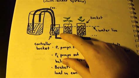 Basic Hydroponic Theory Youtube