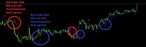Hull MA Half Trend Hybrid EA MT