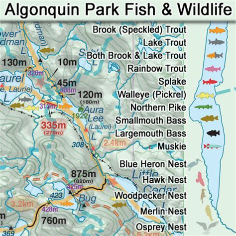 New FREE V Algonquin Map Review AlgonquinAdventures