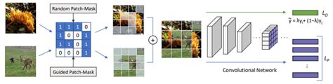 github westlake ai awesome mixup awesome list of mixup augmentation