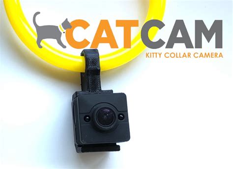 Cat Collar Camera Lost Cat Finder Atlanta Ga