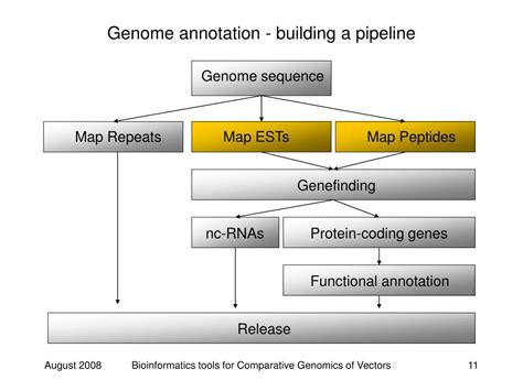 Ppt Genome Annotation Powerpoint Presentation Free Download Id2938200