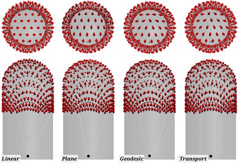 Simulation Of Gelsight Sensors Of Complex Morphologies Danfergo Research