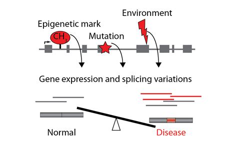 Quesnel Vallières Lab