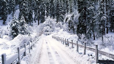 壁紙1366x768季節冬雪自然ダウンロード写真