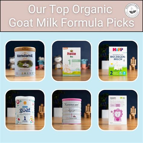 Best Goat Milk Formula Clean Organic And European Options