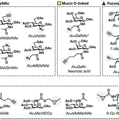 A Common Mammalian Monosaccharide Building Blocks And Their Geometric