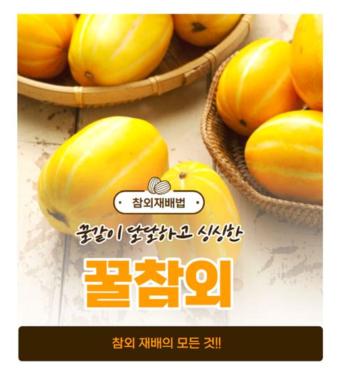 참외 심는 시기 참외 재배 방법 순지르기 방법 수확 시기