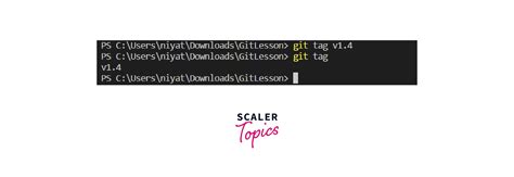 Git Basic Commands Scaler Topics Git Basic Commands Scaler Topics