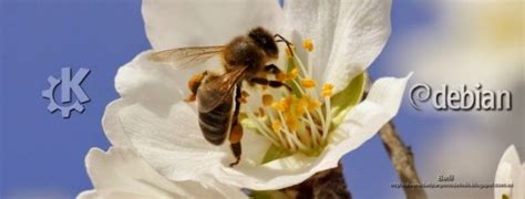 Debian Jessie Archivos Diversidad Y Un Poco De Todo