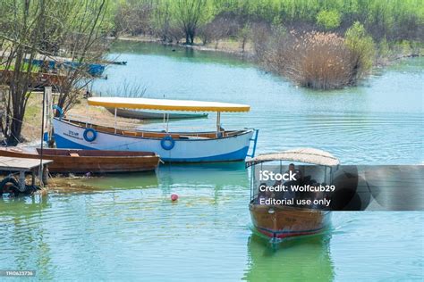몬테네그로 마을 비르 파 자르에서 와인과 생선의 공공 축제 관광객 및 축제의 손님은 화창한 봄 날에 스키 다 르 호수에 보트를 강에 대한 스톡 사진 및 기타 이미지 Istock