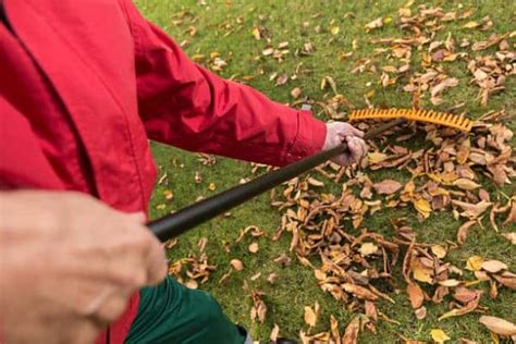 Seasonal Lawn Maintenance Calendar Erbert Lawns