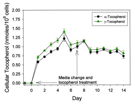 Cellular Uptake Of Tocopherols Treated With A Mixture Of Tocopherols In Download Scientific