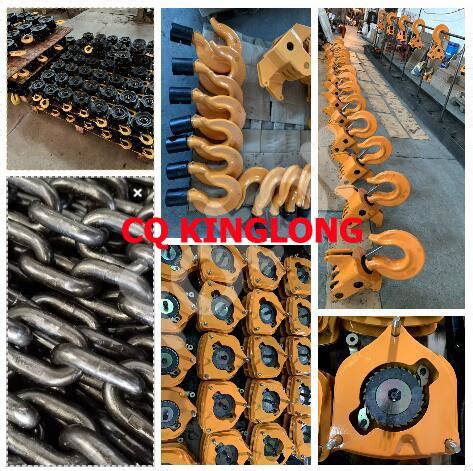 12m 20000KGS Scaffolding Chain Pulley Block Hoist